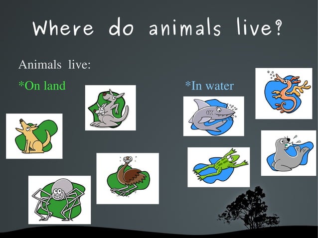 Animals Habitats | ODP