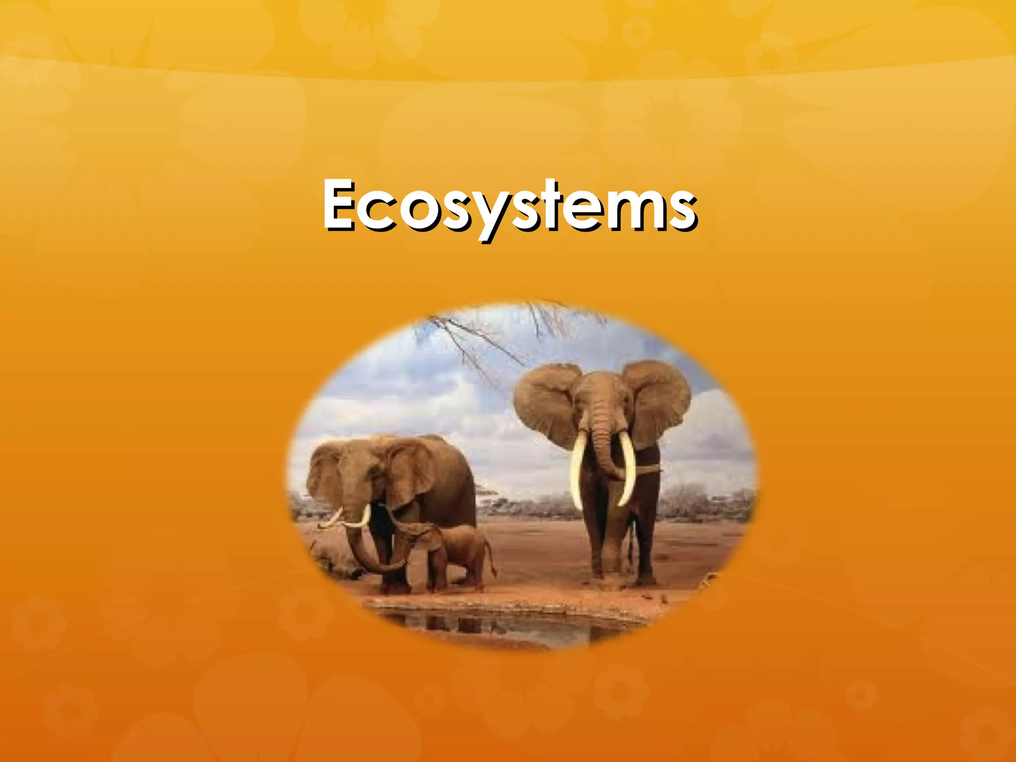Habitats | PPT
