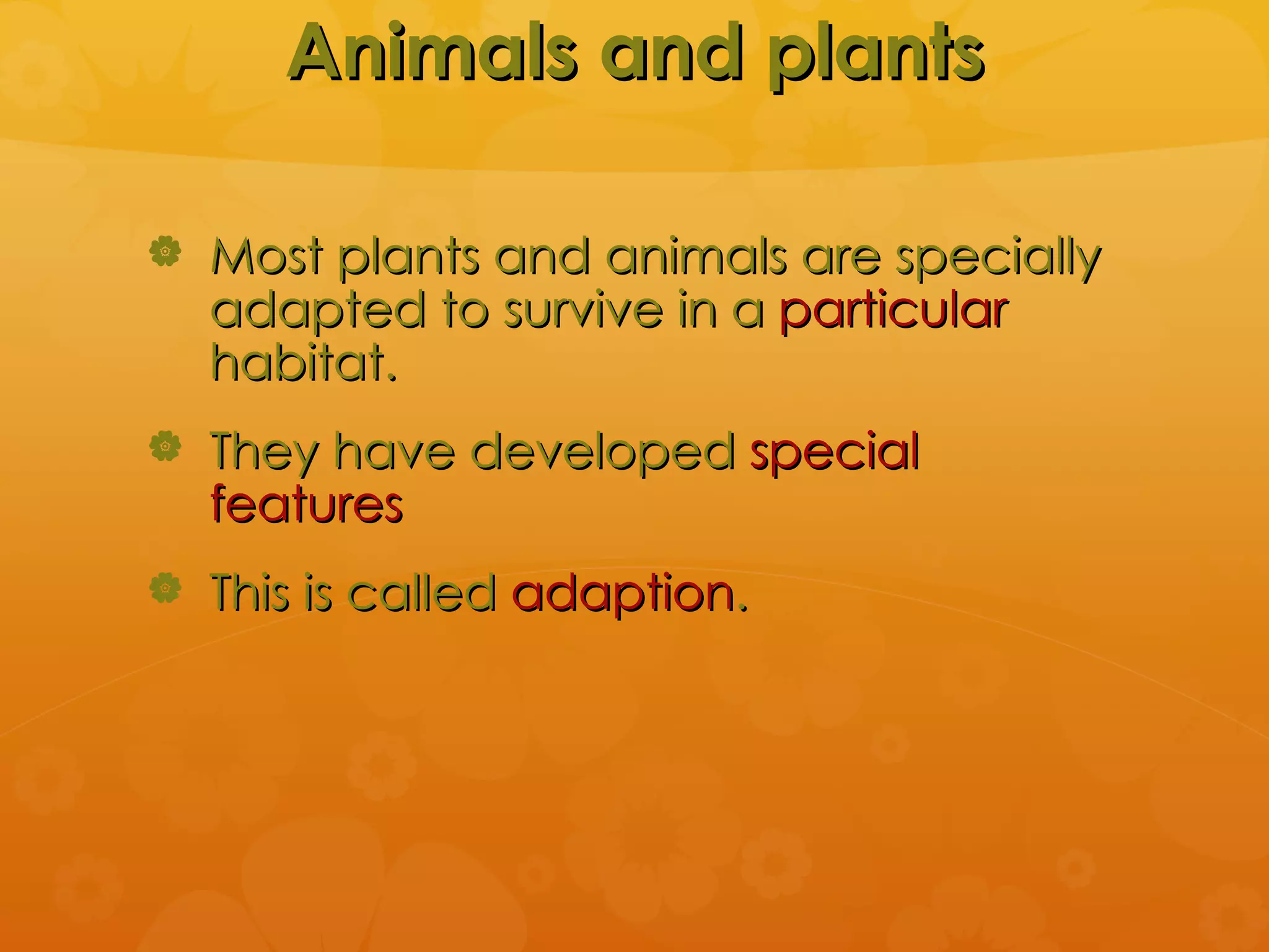 Habitats | PPT