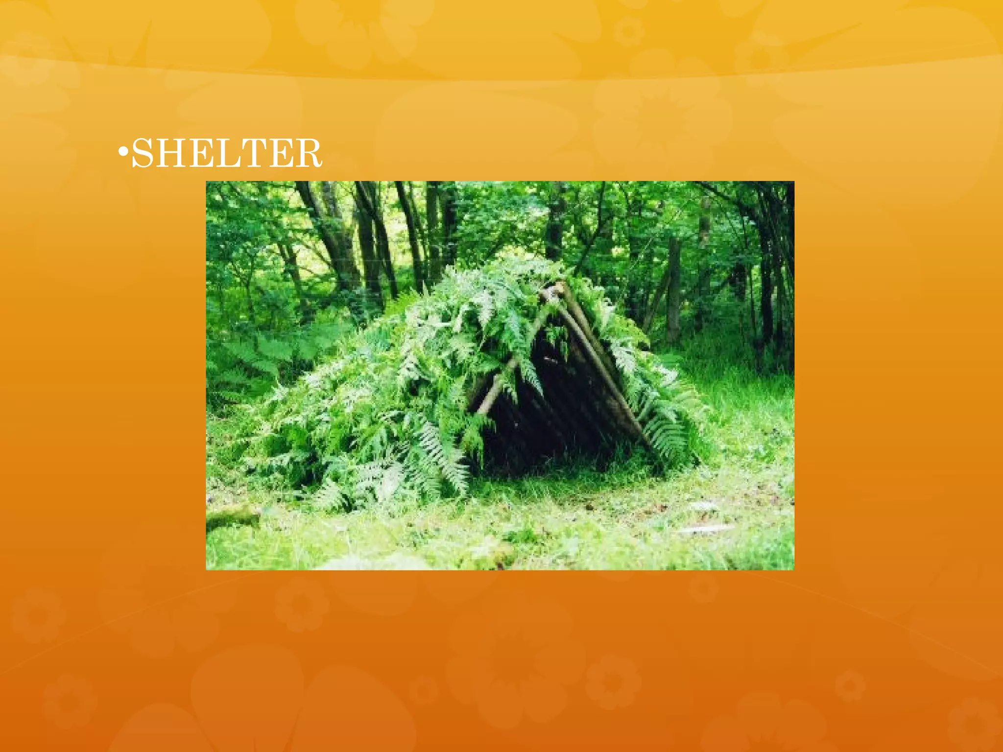 Habitats | PPT
