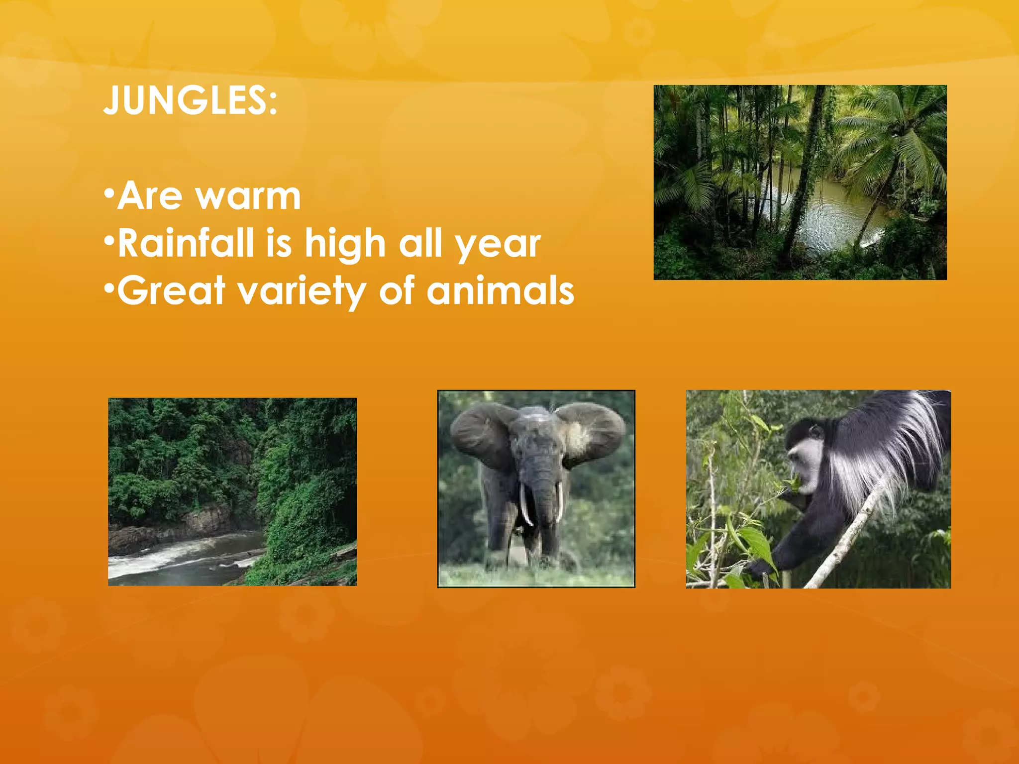 Habitats | PPT