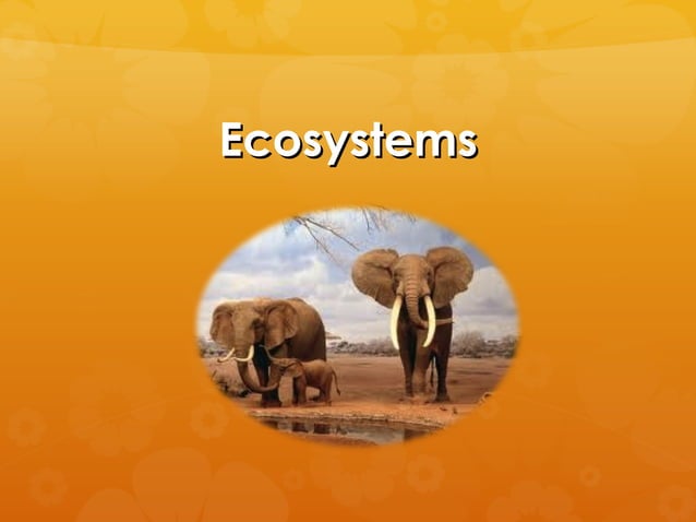 Habitats | PPT | Geography | Science