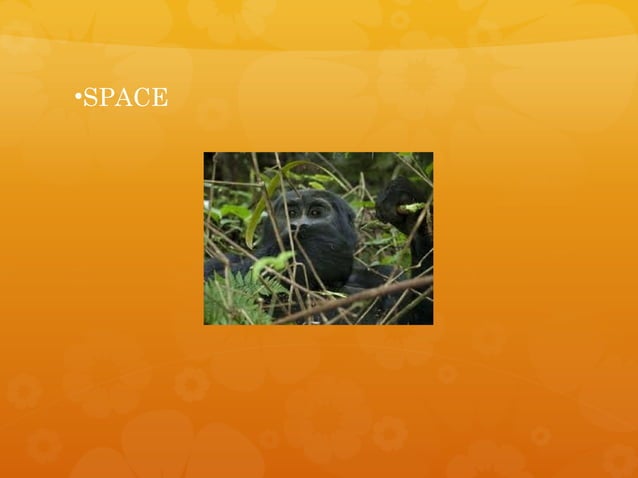 Habitats | PPT | Geography | Science