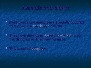 Habitats | PPT