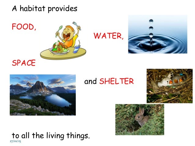 Habitats. 4ºPrimaria