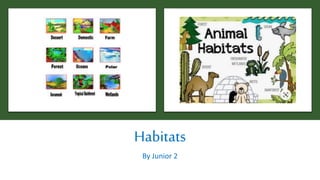 Habitats | PPT