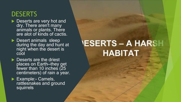 Habitats | PPTX | Geography | Science