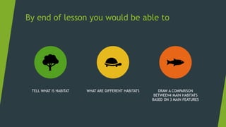 Habitats | PPTX