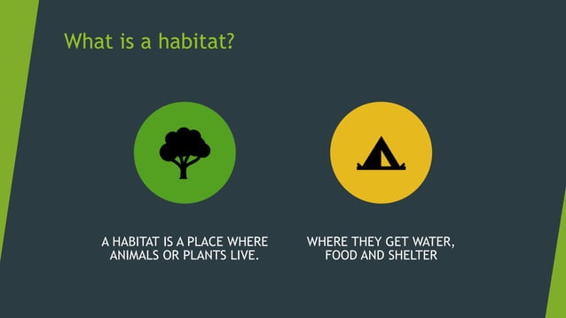 Habitats | PPTX | Geography | Science