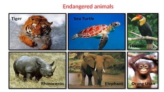 Habitats.pptx for grade 2 level children | PPTX