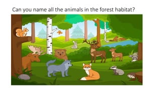Habitats.pptx for grade 2 level children | PPTX
