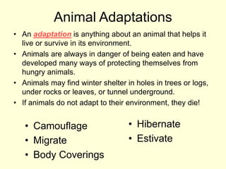 HABITATS - of - animals - and - plants . | PPT