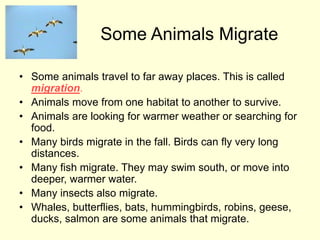 HABITATS - of - animals - and - plants . | PPT