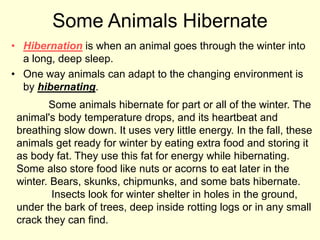 HABITATS - of - animals - and - plants . | PPT