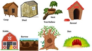 habitats-of-animals-comparative-picture-description-exercises_135593.pptx