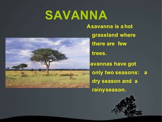 Habitats-Presentation.pptx