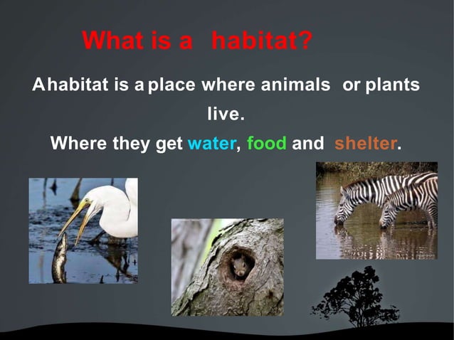 Habitats-Presentation.pptx