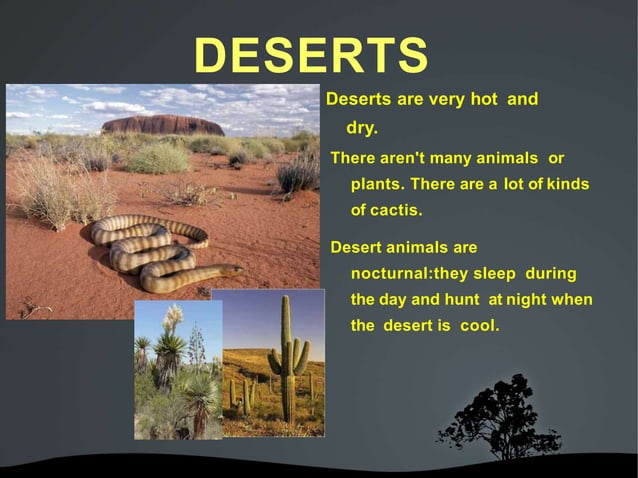 Habitats-Presentation.pptx