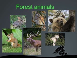 Habitats-Presentation.pptx