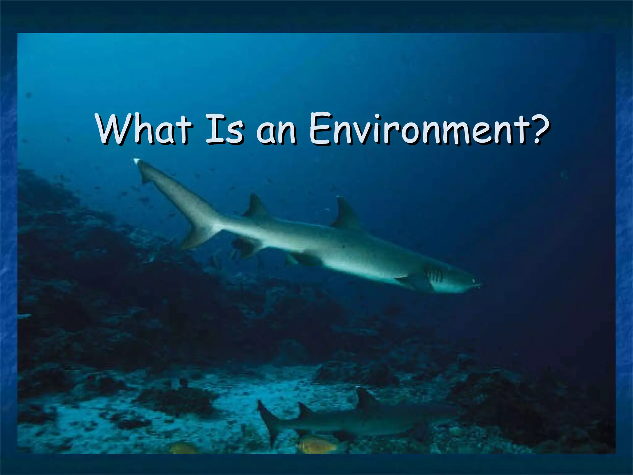 Lesson 3.1 What is an environment? | PPT