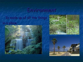 Lesson 3.1 What is an environment? | PPT