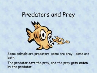 Habitats and foodchains | PPT