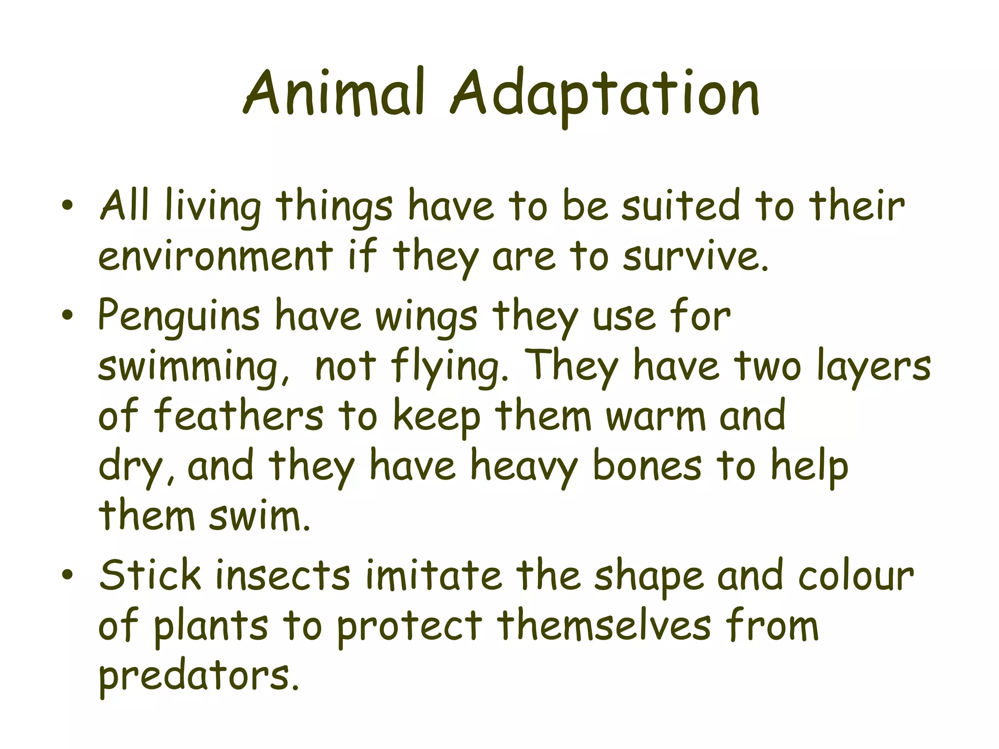 Habitats and foodchains | PPTX