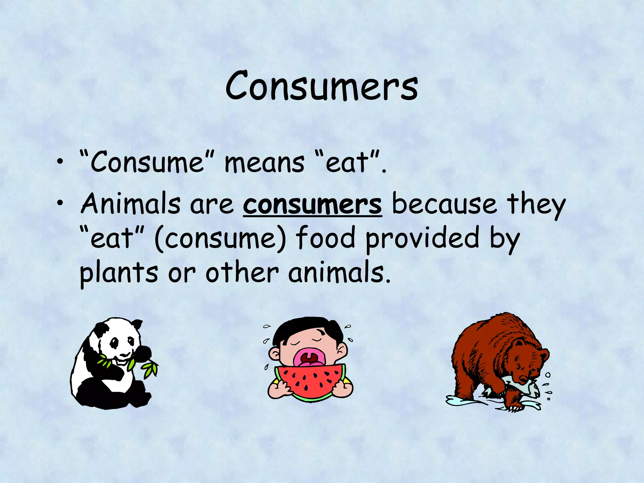 Habitats and foodchains | PPT