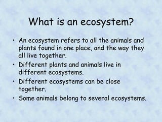 Habitats and foodchains | PPT