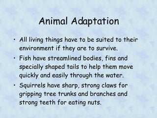 Habitats And Foodchains[1] | PPT