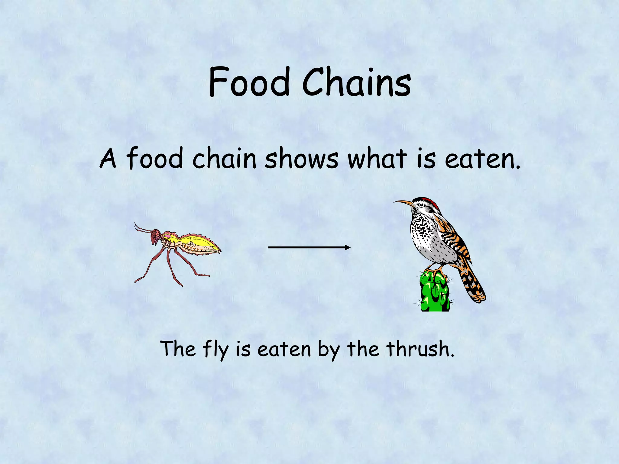 Habitats And Foodchains[1] | PPT