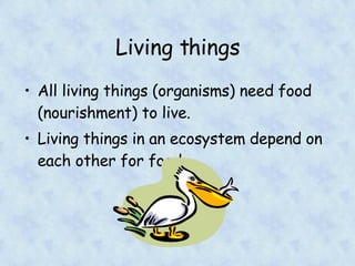 Habitats And Foodchains[1] | PPT