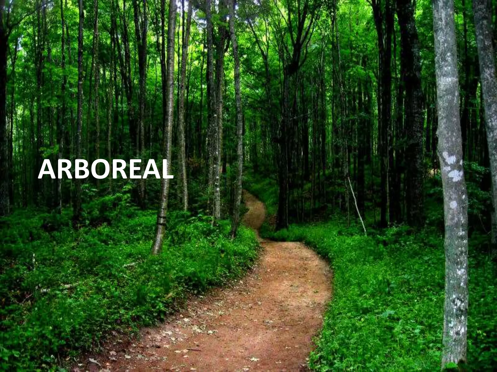 Organisms and their habitats | PPT