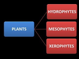 Organisms and their habitats | PPT