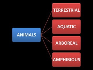 Organisms and their habitats | PPT