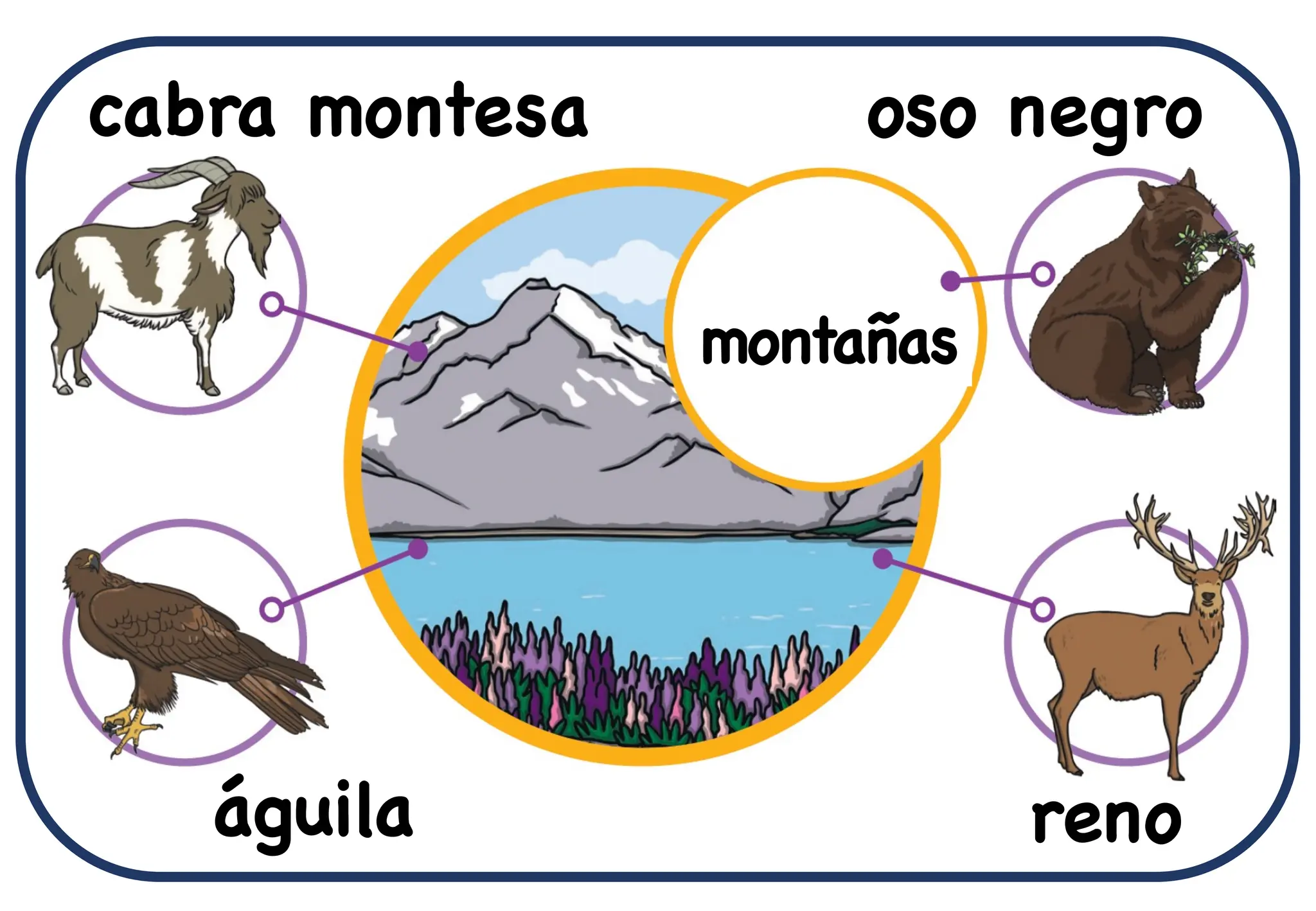 posters hábitats de los animales salvajes.pdf