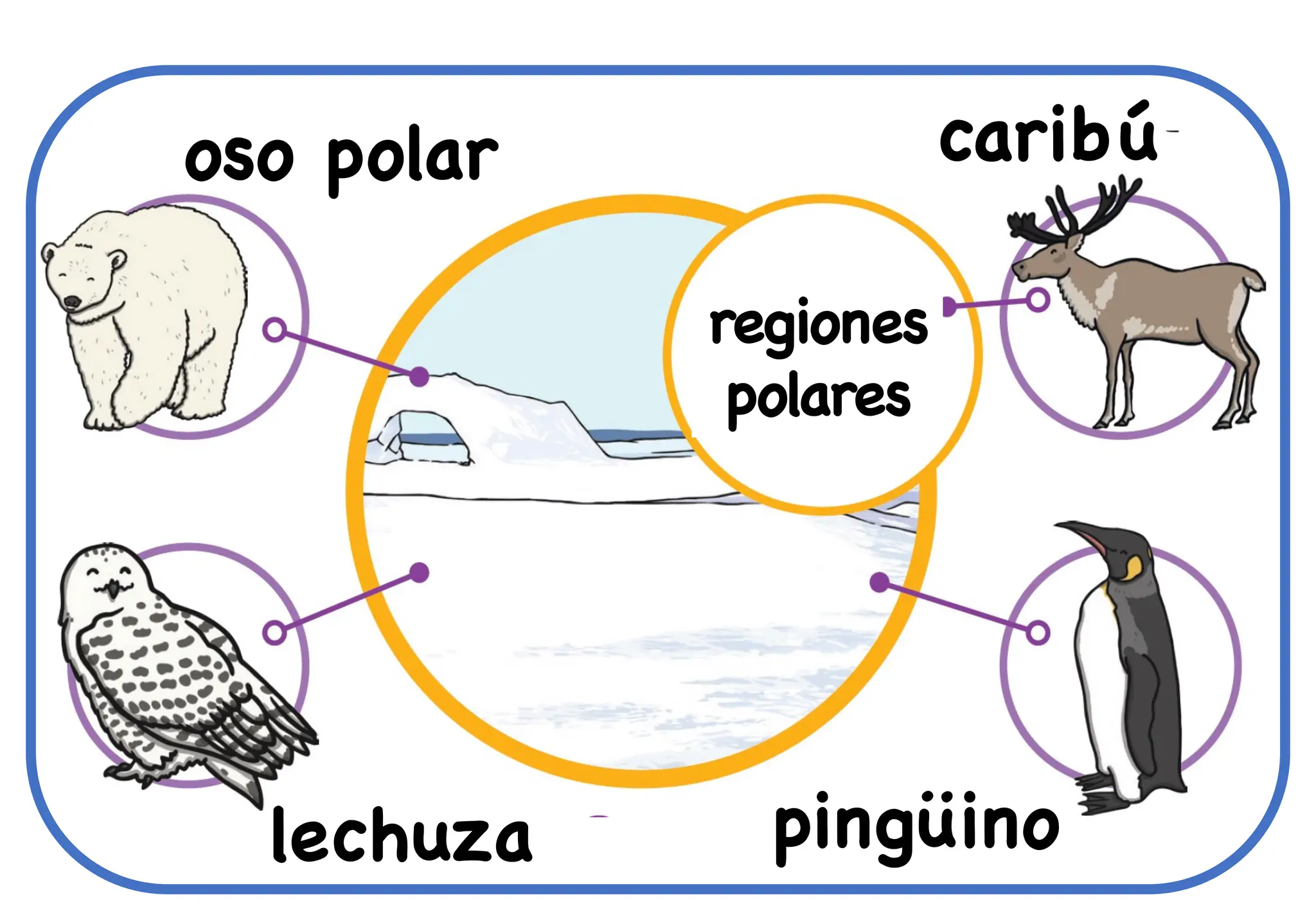 posters hábitats de los animales salvajes.pdf