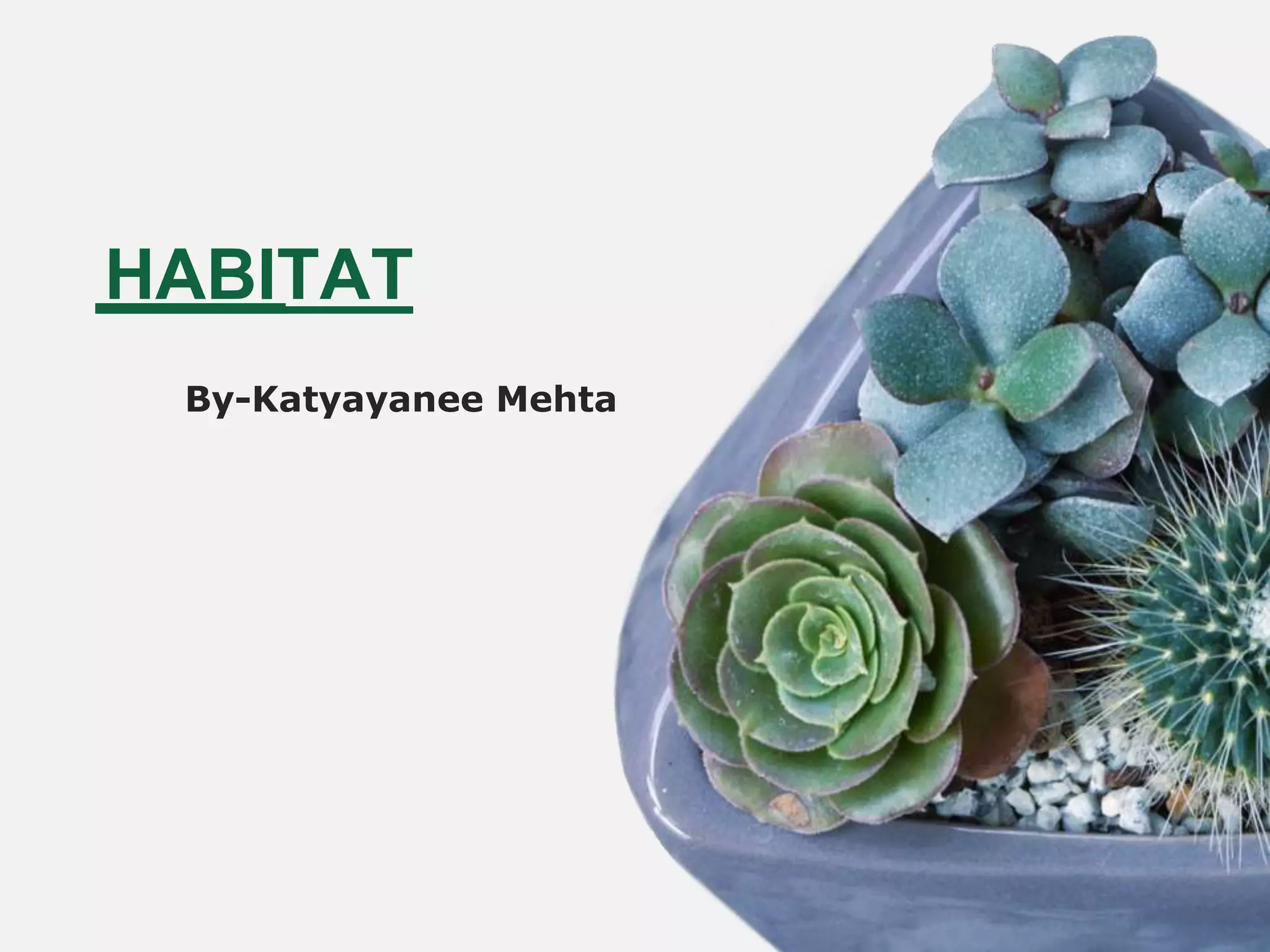 Habitat science grp activity 6b | PPT