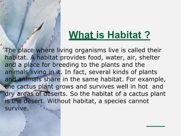 Habitat science grp activity 6b | PPTX