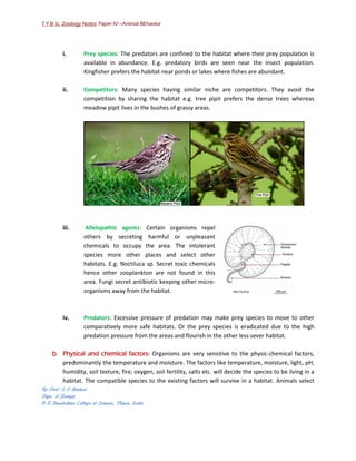 Exploring the Fascinating World of Animal Behavior: Zoology Study Guide