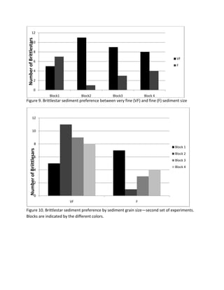 Habitat selection by the burrowing brittlestar ophiophragmus ...