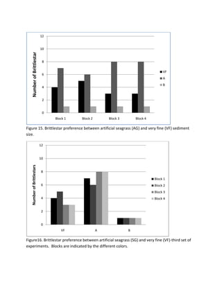 Habitat selection by the burrowing brittlestar ophiophragmus ...