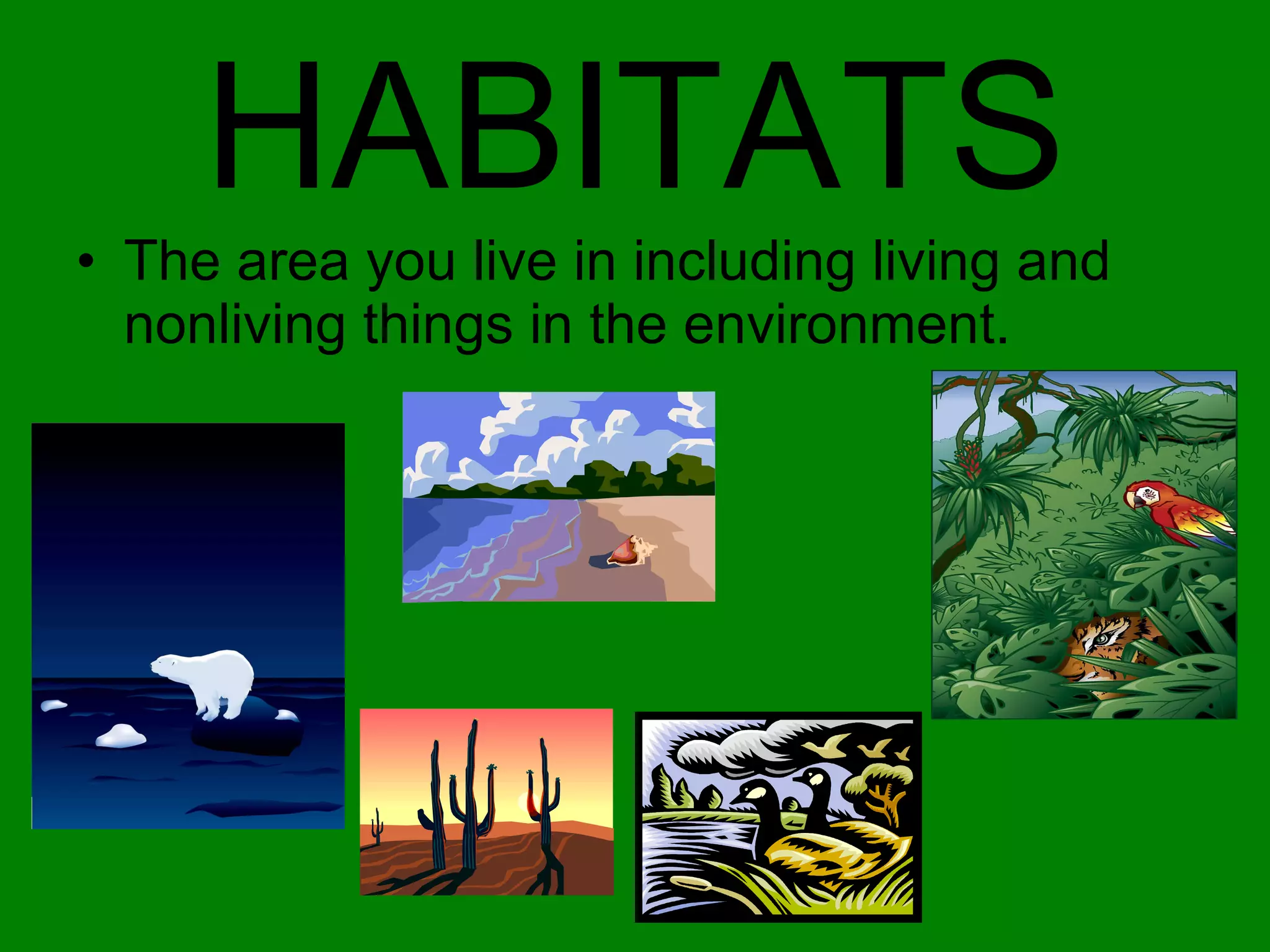 Habitats & Environment | PPT