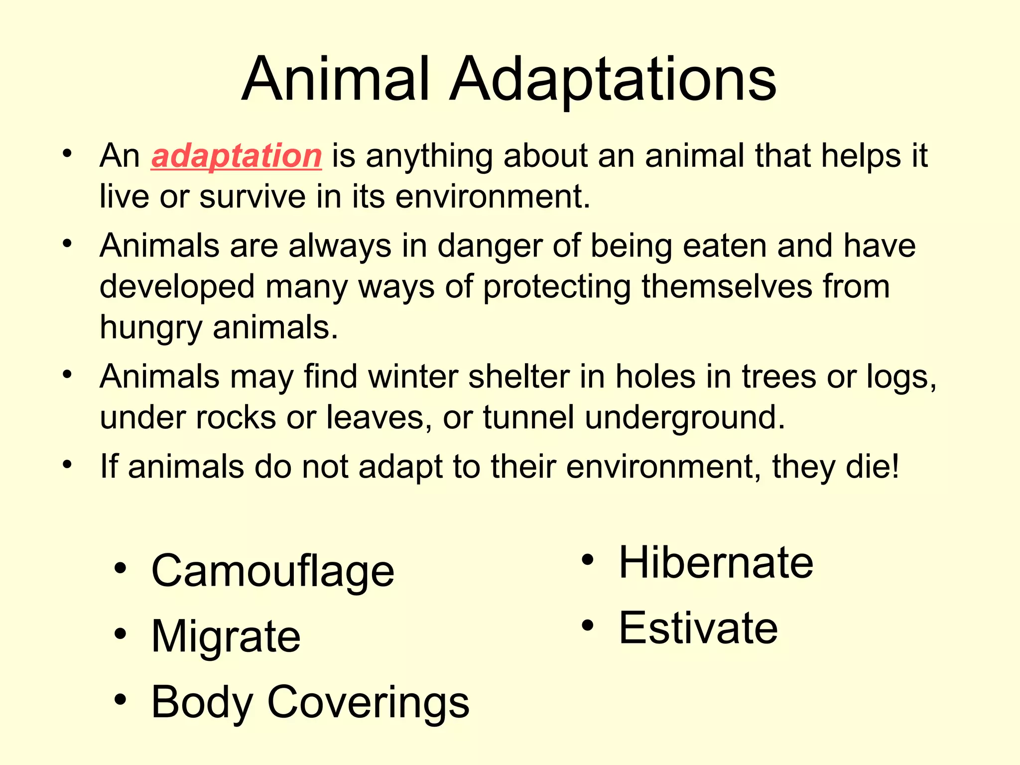 Habitats for plants and animals | PPT