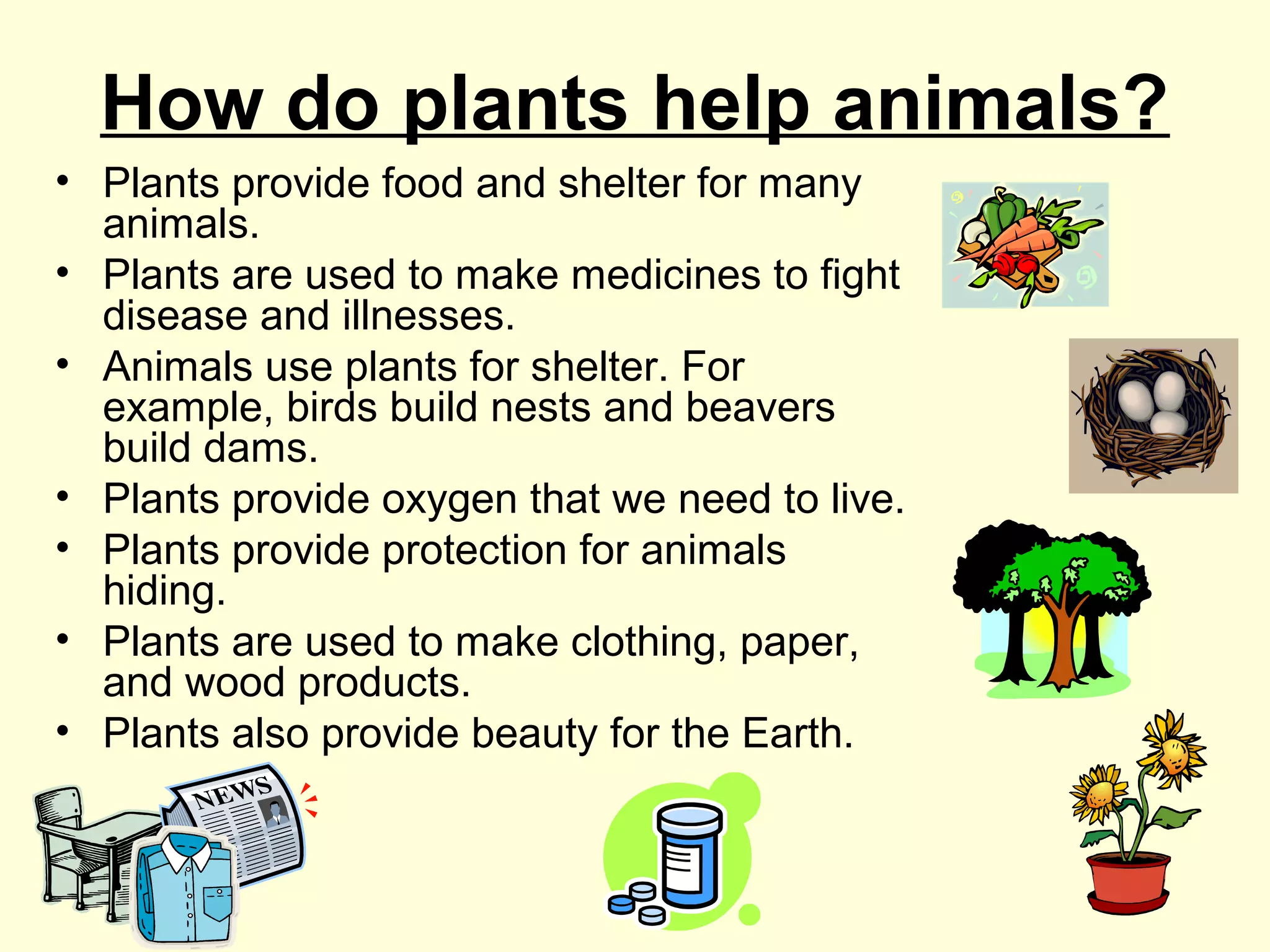 Habitats for plants and animals | PPT