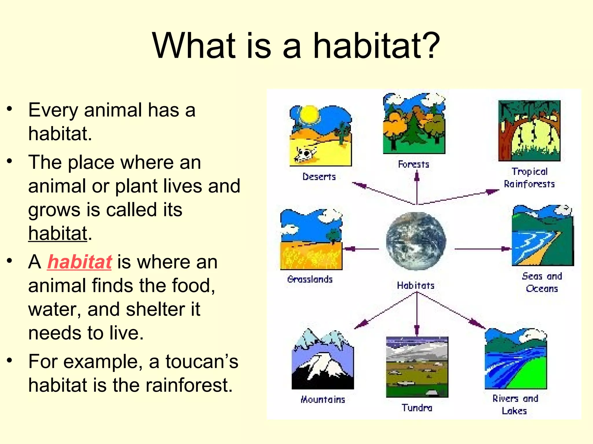 Habitats for plants and animals | PPT