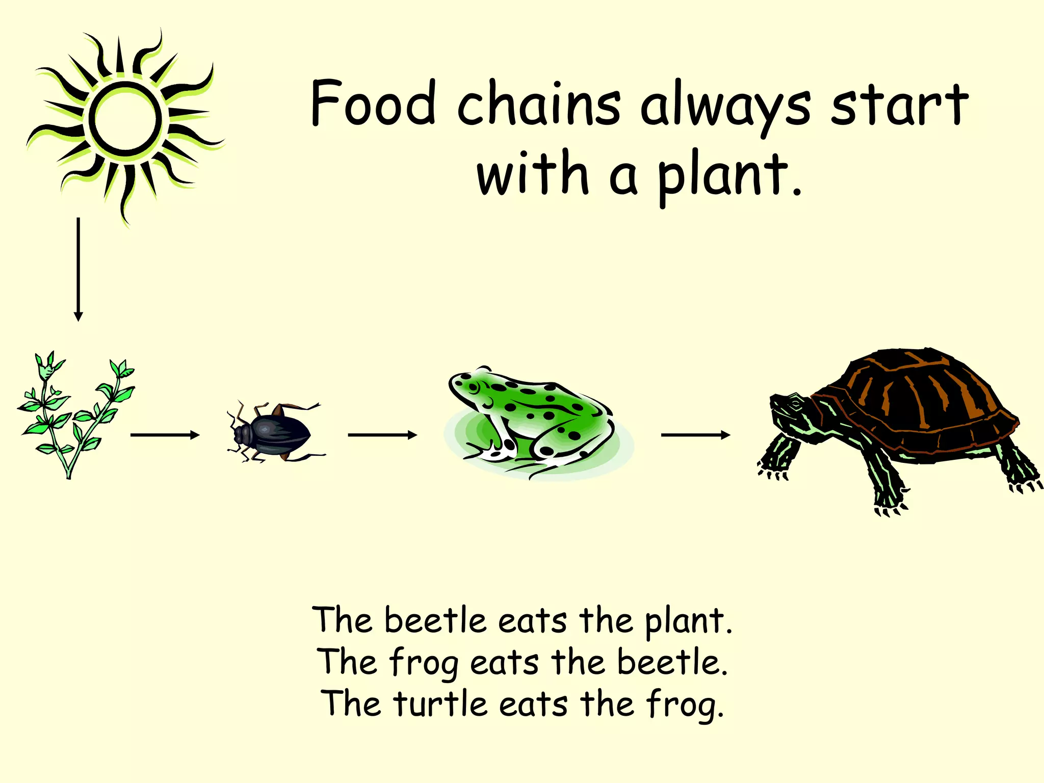 Habitats for plants and animals | PPT