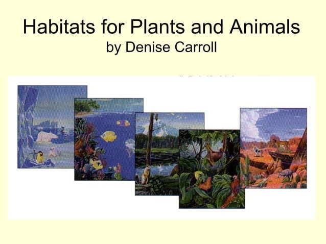 Habitats for plants and animals | PPT | Birds | Pets