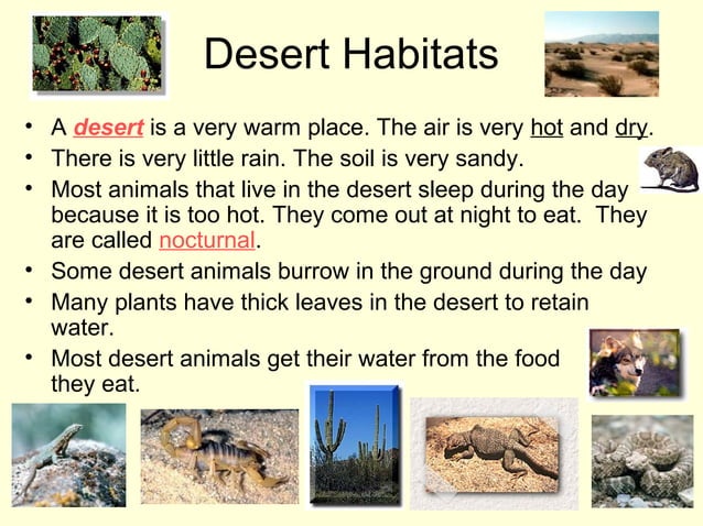 Habitats for plants and animals | PPT | Birds | Pets