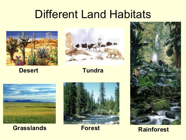 Habitats for plants and animals